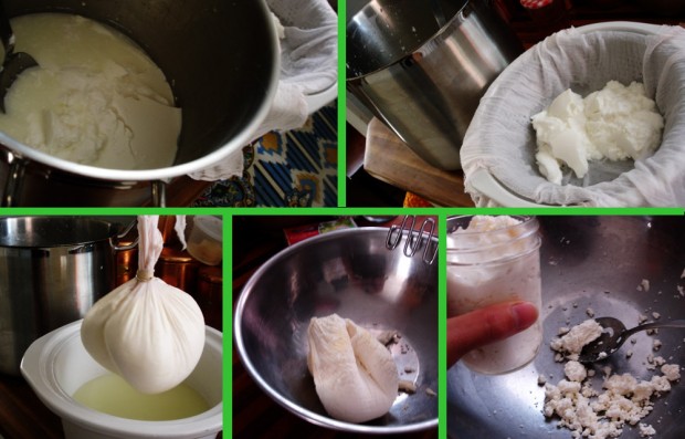 Mary Grace Legg › Little Miss Muffet